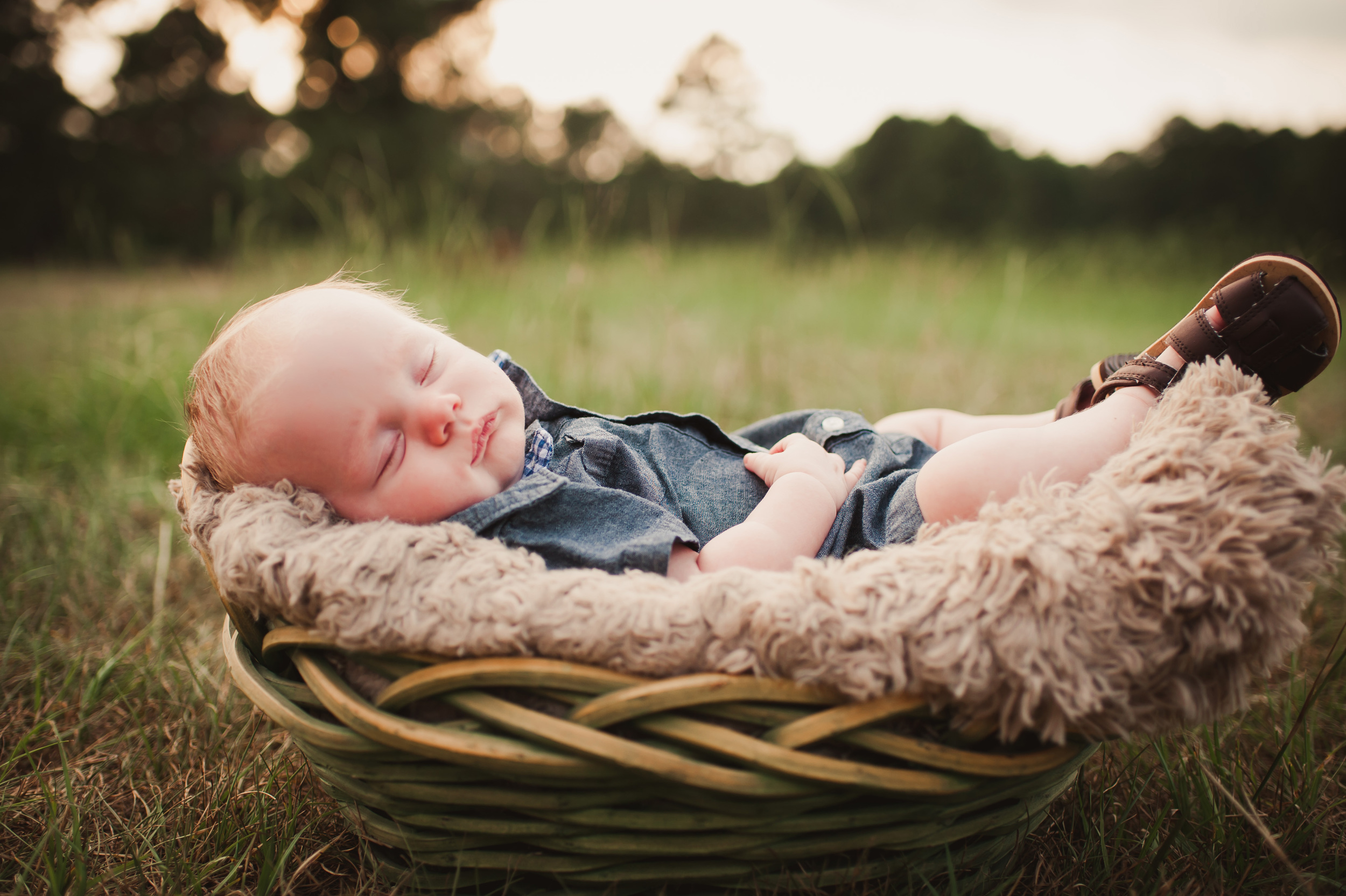 Stapp Family, Covington GA Family Photographer | Showit Blog